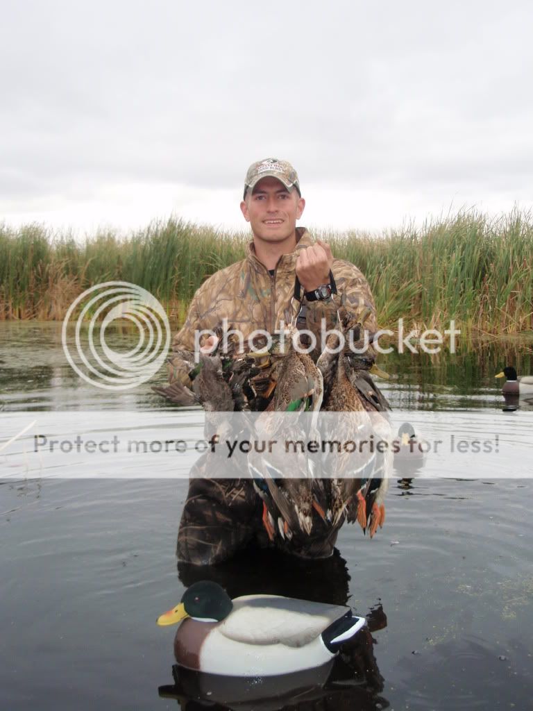 Full curl | Duck Hunting Forum