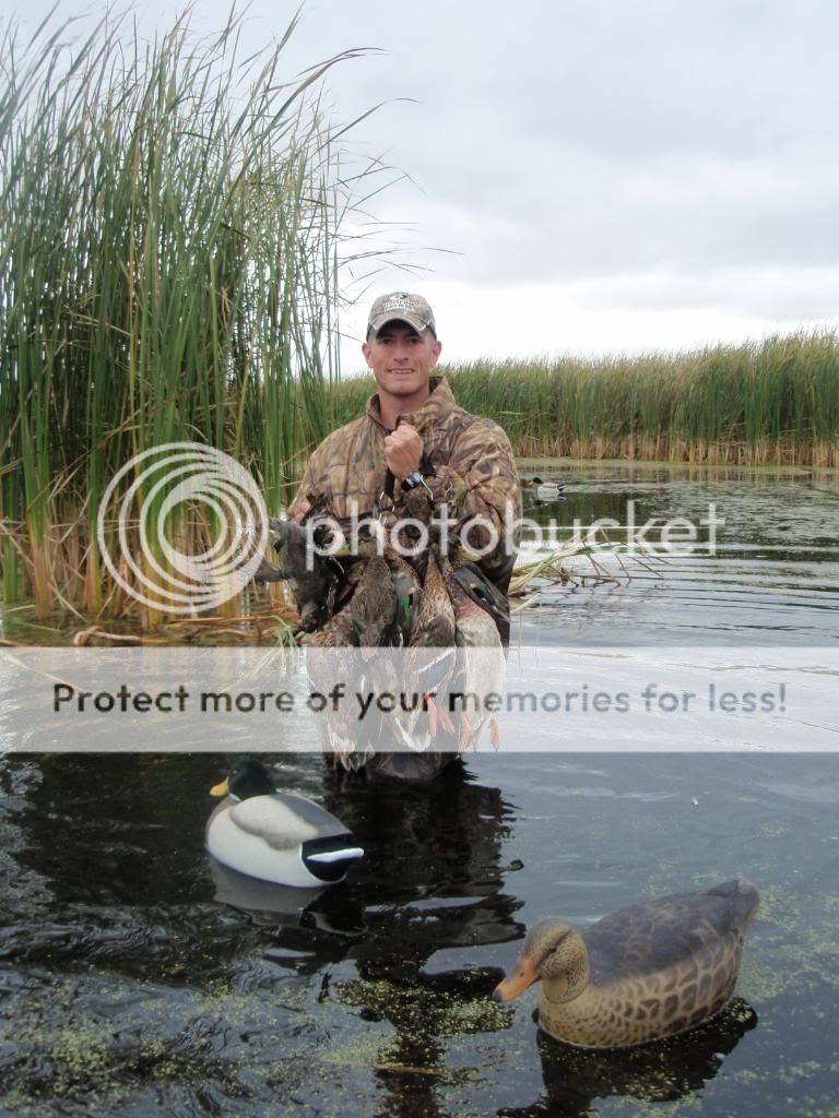 Full curl | Duck Hunting Forum