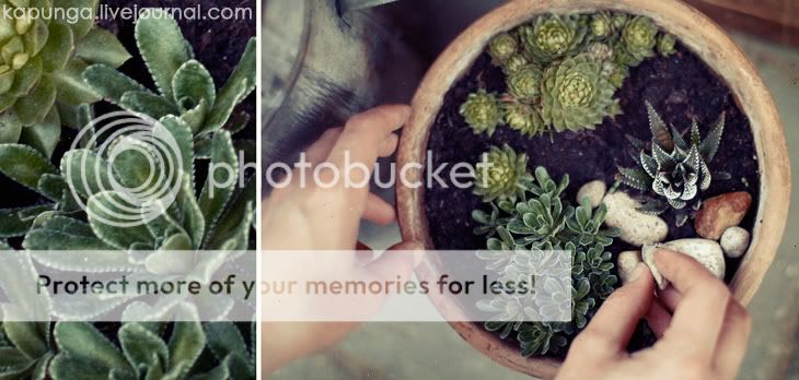 Опыты: kapunga — LiveJournal